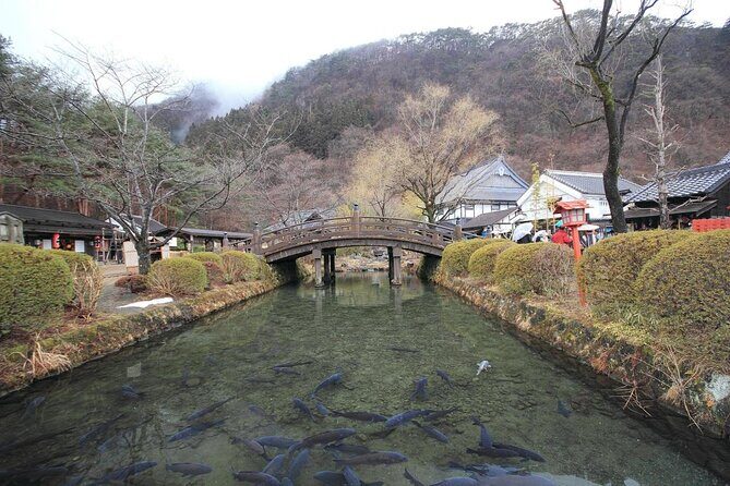 Chartered Private Tour - Tokyo to Nikko, Toshogu, Edo Wonderland - Who Will Love This Experience?