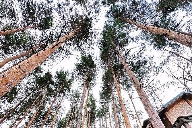 Charyn Canyon and Kolsai Lake Day Adventure from Almaty - Key Points