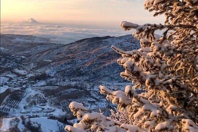 Charyn Canyon and Kolsai Lake Day Adventure from Almaty - What Makes This Tour Stand Out