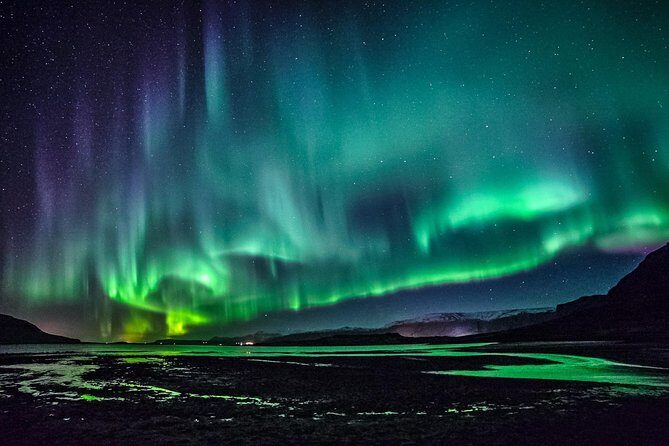 Chasing Aurora Borealis with Warmth and Treats in Premium Tour! - What Makes the Guides Stand Out?