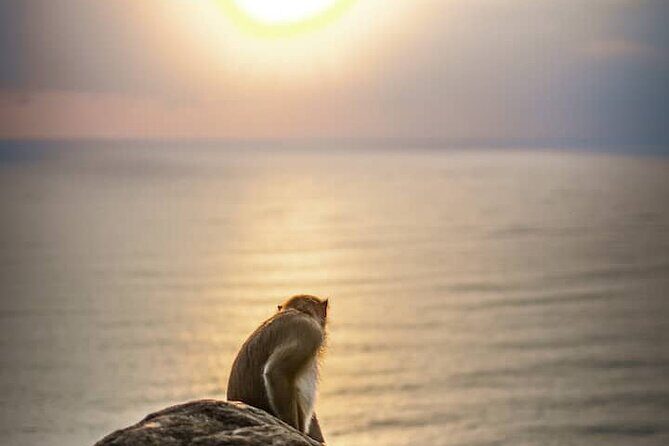 Chasing Sunrise in Da Nang and enjoying life - Why This Tour Offers Real Value