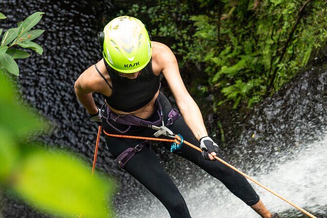 Chasing Waterfalls:Wild Hawaii Rappelling - Real Traveler Insights