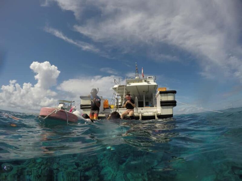 Chatan: Full-Day Snorkeling in Kerama National Park - Who Will Love This Tour?