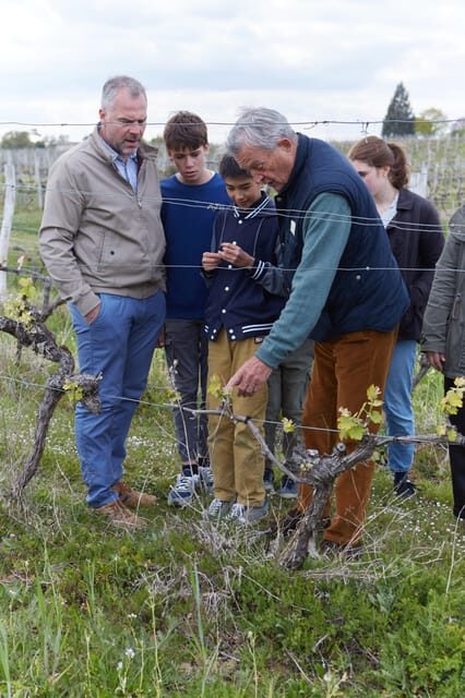 Château Arton Guided Tour and Armagnac Tasting - An Authentic Taste of Occitanie’s Spirit Heritage