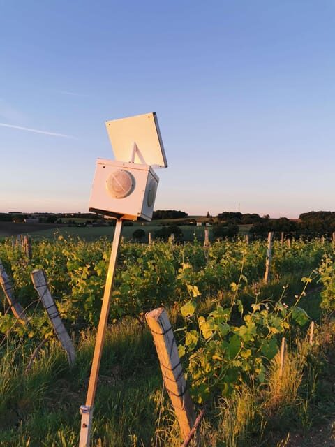 Château Arton : The Secrets of Haut-Armagnac Experience - Tasting and Boutique Visit