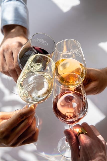 Château Arton Vineyard Tour and Tasting - A Closer Look at the Château Arton Experience