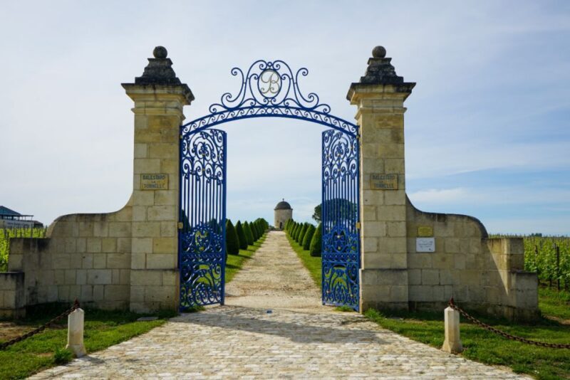 Château Balestard La Tonnelle : The "Origins" tour - The Vineyards and the Panorama: Views That Capture the Essence of Saint-Emilion