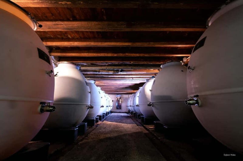Château de Terride: tour of the winery & wine tasting - A Detailed Look at the Château de Terride Experience
