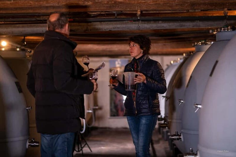 Château de Terride: tour of the winery & wine tasting - The Sum Up