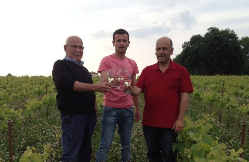 Château du Bois-Huaut: Cellar Tour and Wine Tasting Class - Who Will Enjoy This Experience?