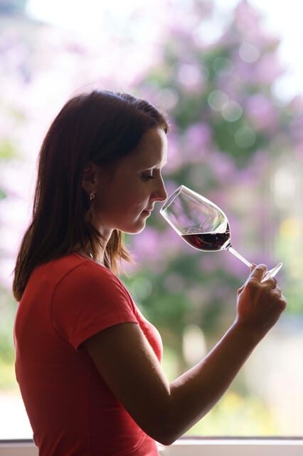 Château Olivier: One Hour Vineyard Tour with Wine Tasting - Exploring Château Olivier: An Authentic Bordeaux Wine Experience