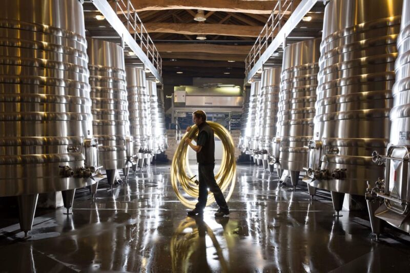 Château Olivier: One Hour Vineyard Tour with Wine Tasting - Key Points