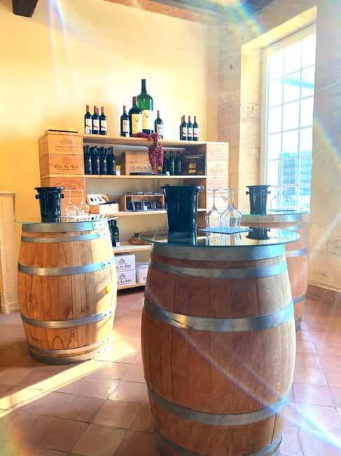 Château St-Emilion Grand Cru visit and Grand Cru and Pomerol tasting - The Tasting: Four Wines from Saint-Émilion and Pomerol