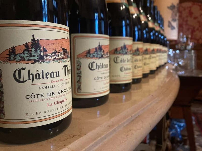 Chateau Thivin Welcome visit Wine tour in Beaujolais (Odenas) - Key Points