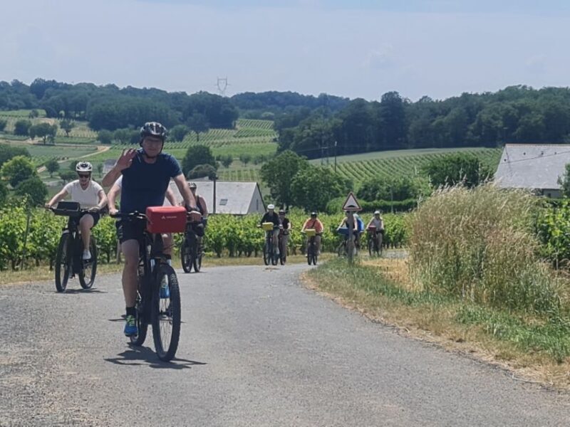 Chateaux de la Loire cycling ! - Wine Tasting and Vineyard Visits