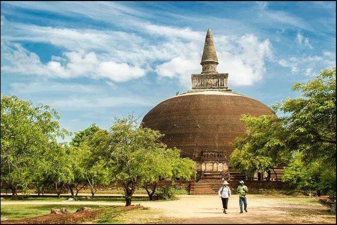 Chauffeur Driven Standard Large Van - Who Will Benefit Most from This Service?