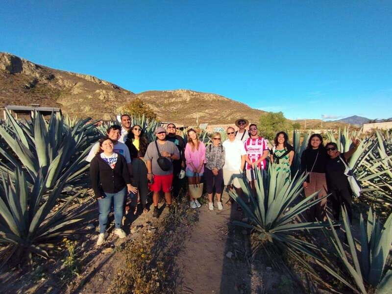 Check out Hierve el Agua, Mitla, the Tule Tree, Rugs, and a Mezcal Distillery Tour - Final Thoughts