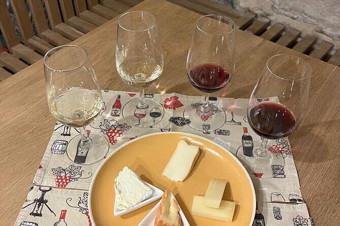 Cheese and Wine Pairing 1-Hour Session in Dijon - A Deep Dive into the Experience