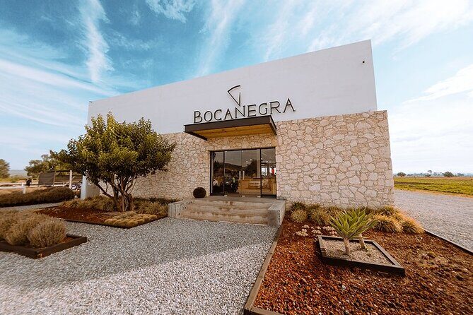 Cheese and Wine Route Tour with starting from Querétaro - A Deep Dive into the Itinerary: What You Can Expect