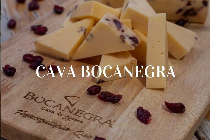 Cheese and Wine Route Tour with starting from Querétaro - Who is This Tour Best For?