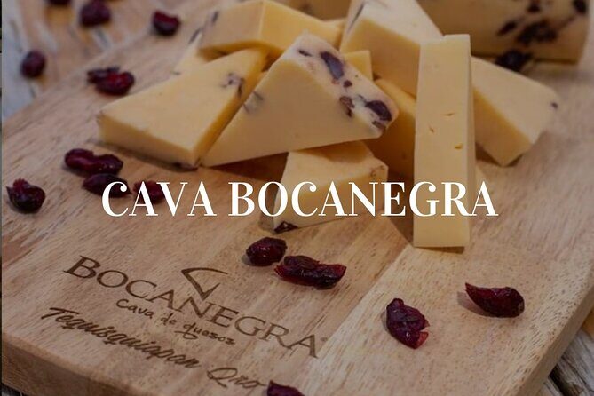 Cheese and Wine Route with 2 Towns, starting from Querétaro - Who This Tour Is Best For