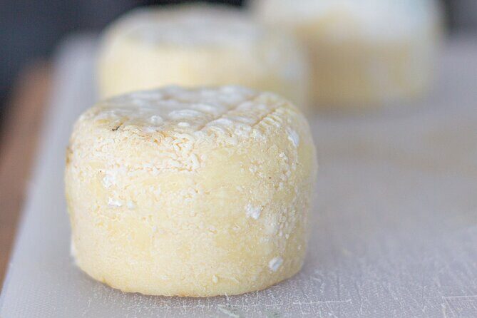 Cheese and Wine Tasting Platter in Saint Martin - The Value of This Experience