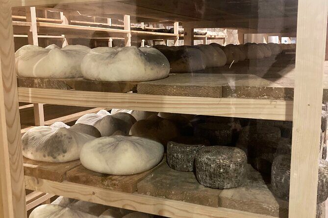 Cheese Factory Workshop with Wine Tasting in Requena, Valencia - A Full-Day Journey into Valencia’s Food and Drink Heritage