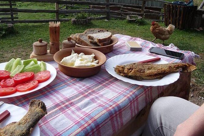 Cheese farm tour in the katun - An In-Depth Look at the Cheeses and Village Life