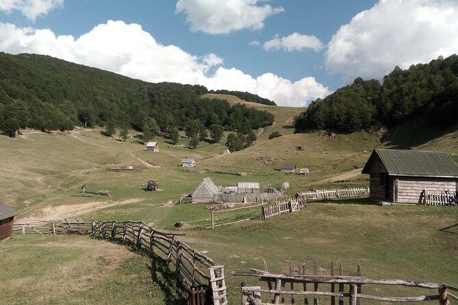 Cheese farm tour in the katun - Practical Details and What to Expect