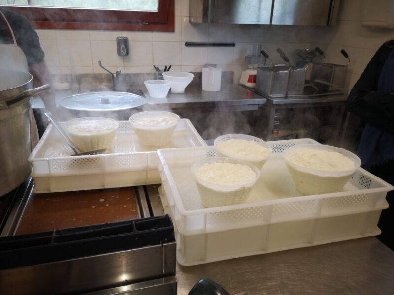 Cheese Making and Tasting Tour from Cagliari with Lunch - Transportation, Duration, and Group Size