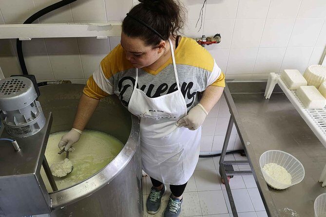 Cheese & ricotta making  Teramo (Abruzzo) Italy - A Close Look at the Cheese & Ricotta Making Tour