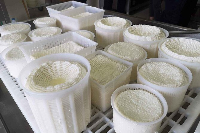 Cheese & ricotta making  Teramo (Abruzzo) Italy - The Sum Up: Why This Tour Is a Great Choice