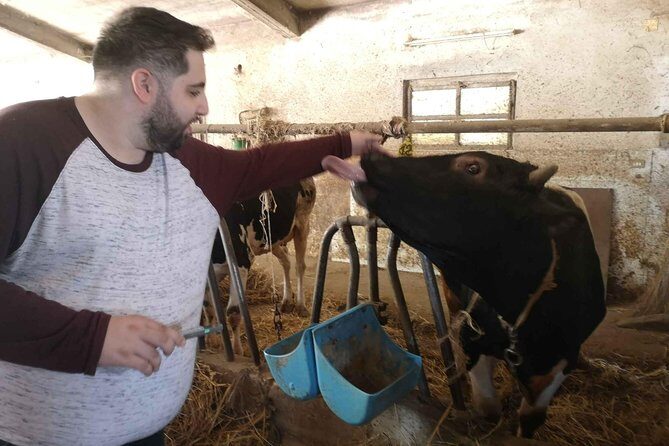 Cheese & ricotta making  Teramo (Abruzzo) Italy - FAQs