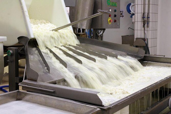 Cheesemaker for a day & visit to the dairy - Exploring the Cheese-Making Experience