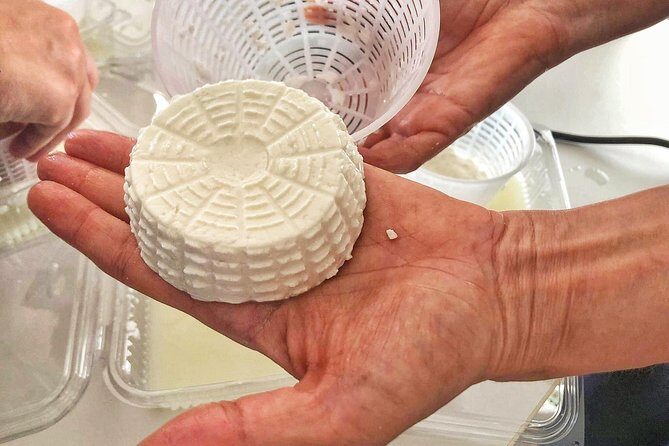 Cheesemaker for a day & visit to the dairy - Who Will Love This Tour?
