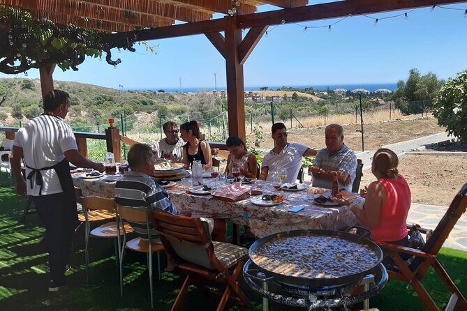 Chefcooking Paella from our Andalusian Grandmother at a Family Farm - What to Expect from the Paella Family Farm Tour near Marbella