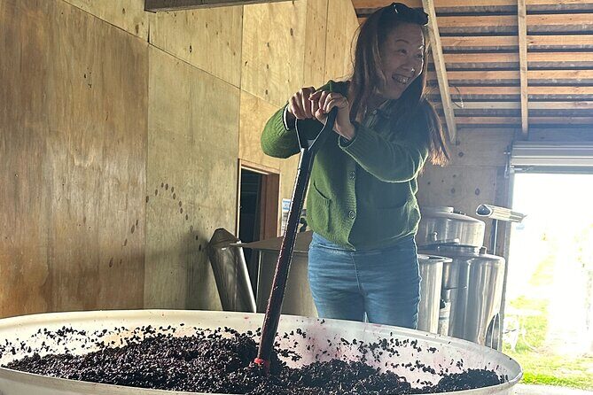 Chefs Private Martinborough Wine Tour with lunch from Wellington - An In-Depth Look at the Chefs Private Martinborough Wine Tour with Lunch from Wellington