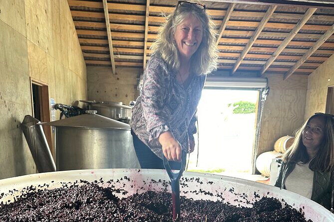 Chefs Private Martinborough Wine Tour with lunch from Wellington - Final Thoughts: Who Will Love This Tour?