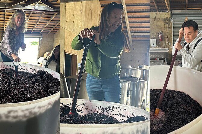 Chefs Private Martinborough Wine Tour with lunch from Wellington - Frequently Asked Questions