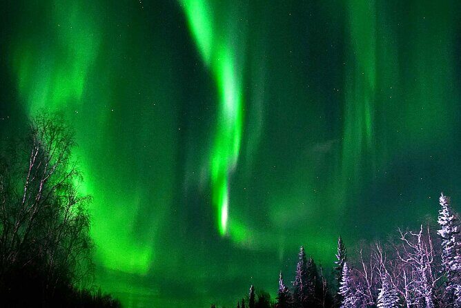 Chena Hot Springs Aurora Tour - An In-Depth Look at the Tour Experience
