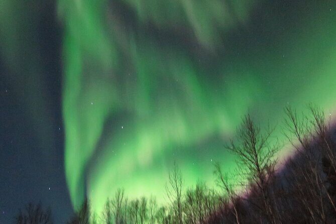 Chena Hot Springs plus Aurora Chase Tour - The Overall Value