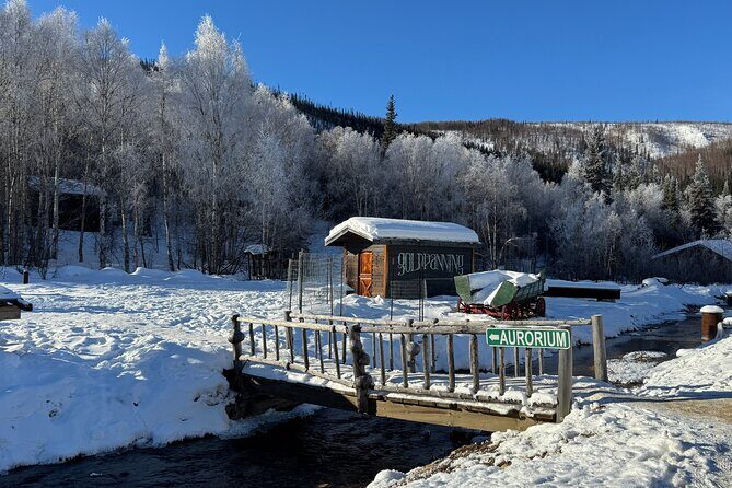 Chena Hot Springs Small Group Tour - What Travelers Can Expect