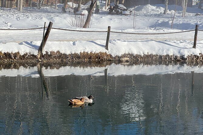 Chena Hot Springs Small Group Tour - Analyzing the Value