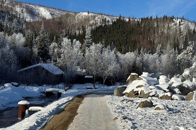 Chena Hot Springs Small Group Tour - The Sum Up