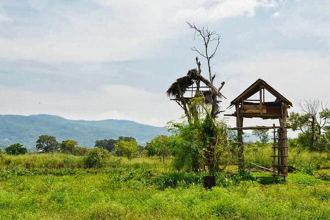 Chena Lunch Experience from Tissamaharama - What Is the Chena Lunch Experience?