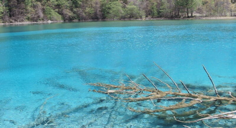 Chengdu 3-Day Self-Guided Jiuzhaigou&Huanglong with Transfer - Final Thoughts