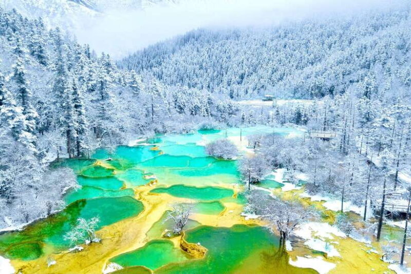 Chengdu: 5-Day Jiuzhaigou and Dujiangyan Tour with Panda - An In-Depth Look at the 5-Day Journey