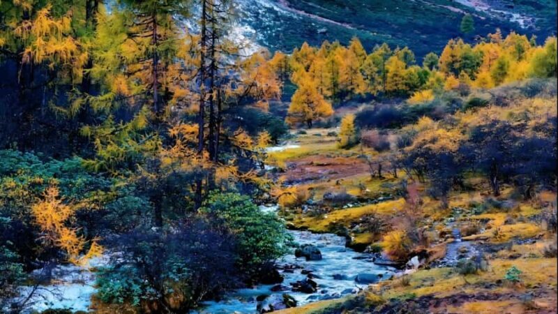 Chengdu: 5-Day Tour with Glacier& TibetanVillage& Jiuzhaigou - What the Tour Really Means for You