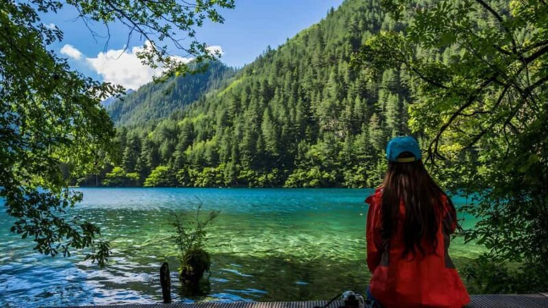 Chengdu: 7-Day Private Tour with Jiuzhaigou & Emeishan - A Detailed Look at the Itinerary