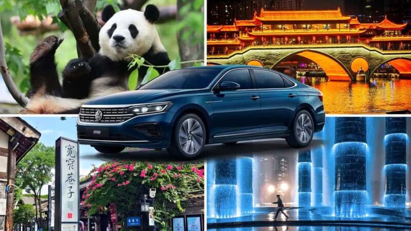 Chengdu 8-Hour Private Customized City Tour - Key Points